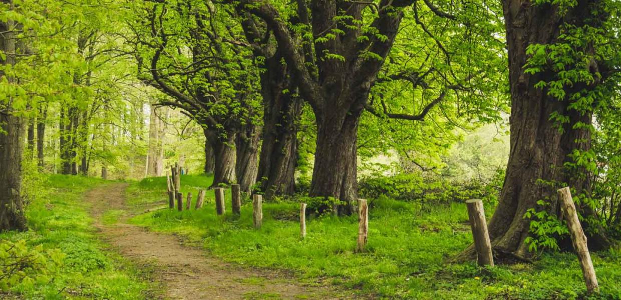 VisitFyn | The officiel Tourist site of Fyn