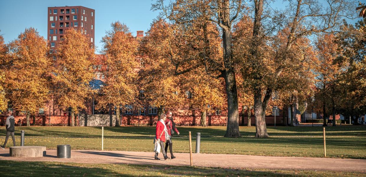 VisitFyn | The officiel Tourist site of Fyn